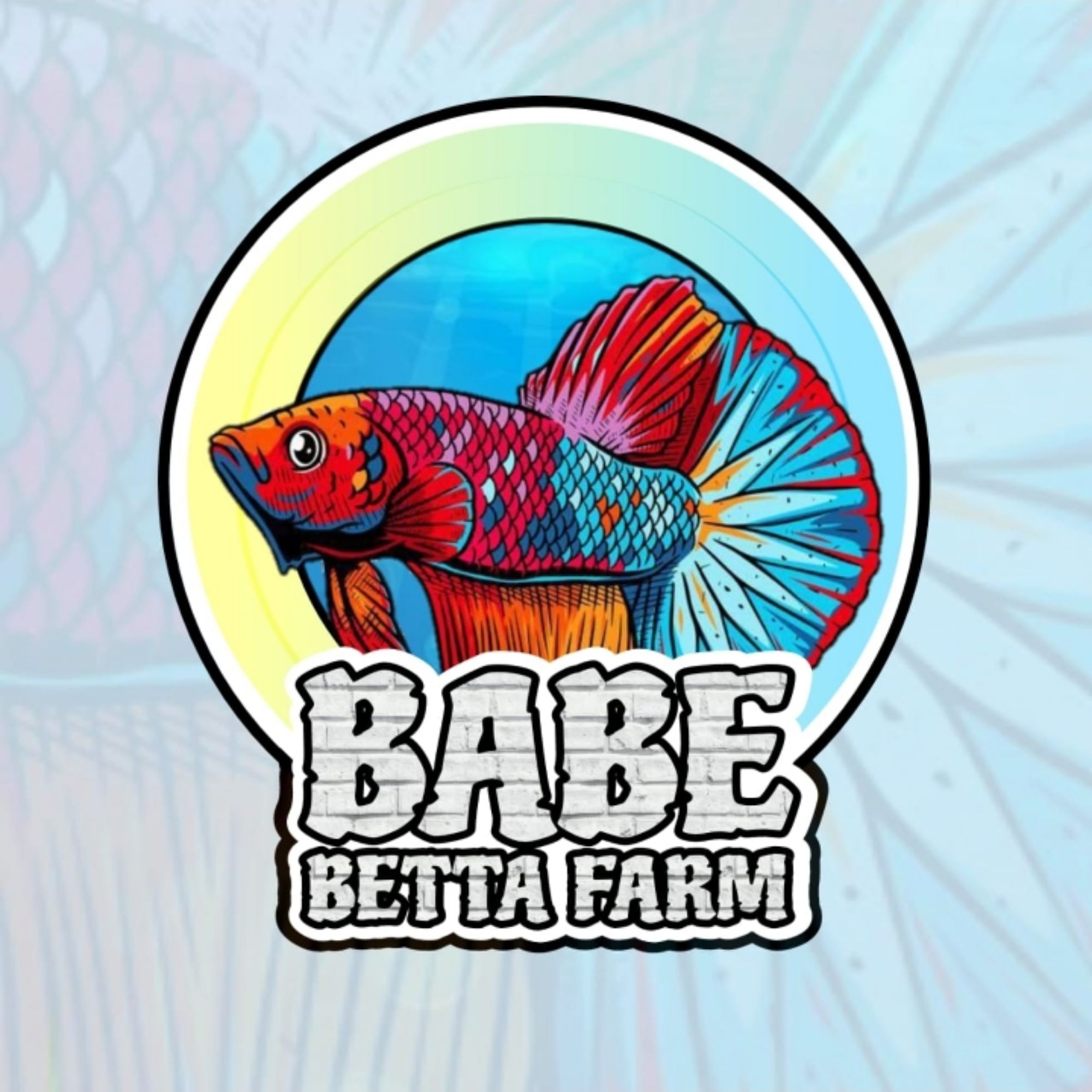 Produk BBF (Babe betta farm) | Shopee Indonesia