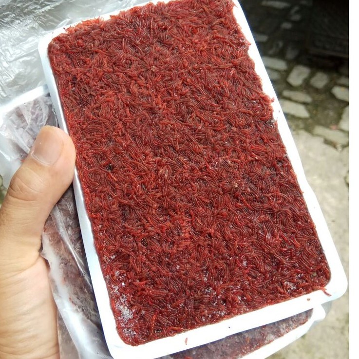 Produk Captain Pet Shop | Shopee Indonesia