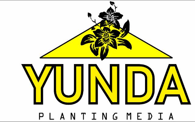 Produk Yunda Plant | Shopee Indonesia