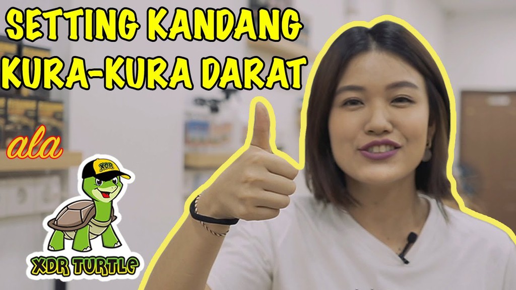 Produk XDR TURTLE | Shopee Indonesia