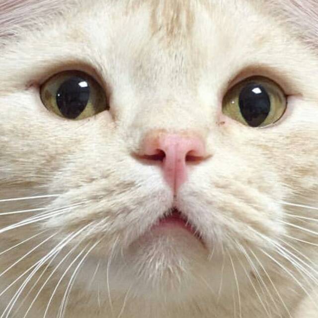 Produk Coco_mimi | Shopee Indonesia