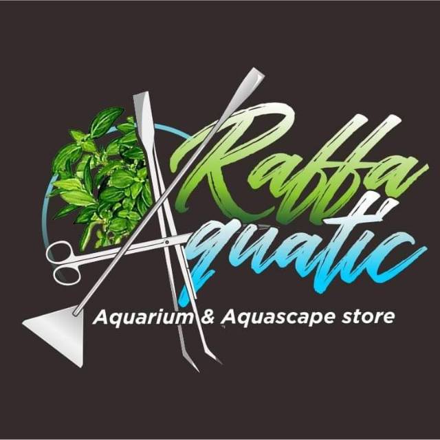 Produk Raffa Aquatic Design | Shopee Indonesia