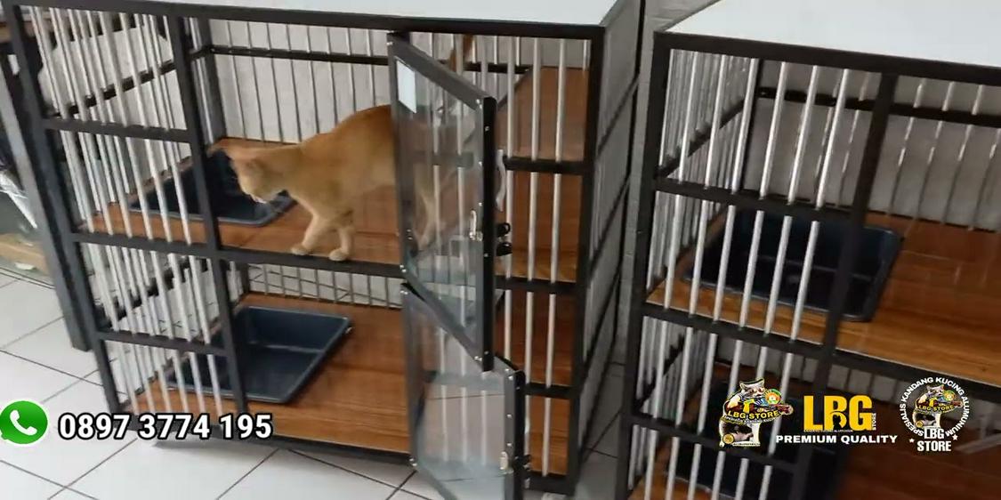 Produk lbg store | Shopee Indonesia