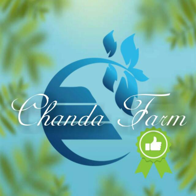 Produk Chanda_Farm | Shopee Indonesia