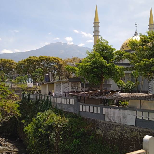 Produk Kayyisa Herbal | Shopee Indonesia