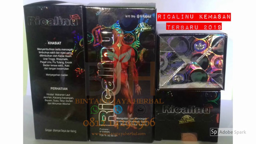Produk Gobed Squad | Shopee Indonesia