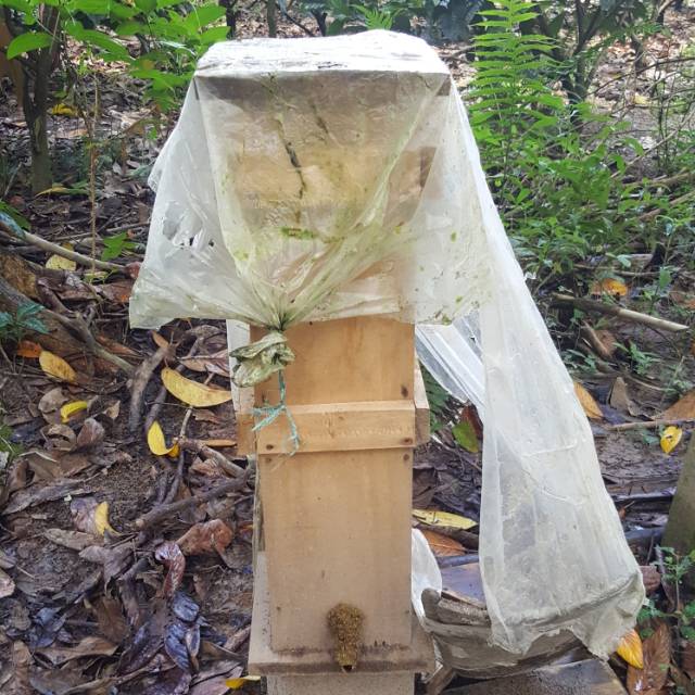 Produk katutu.id | Shopee Indonesia