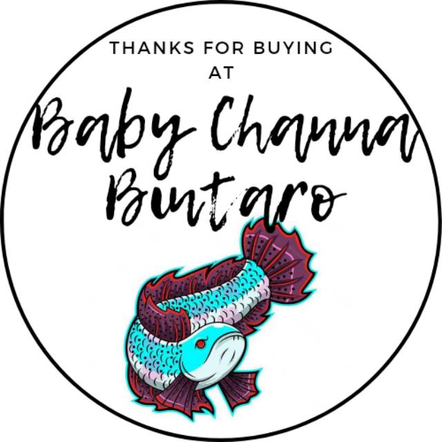 Produk Baby Channa Bintaro | Shopee Indonesia