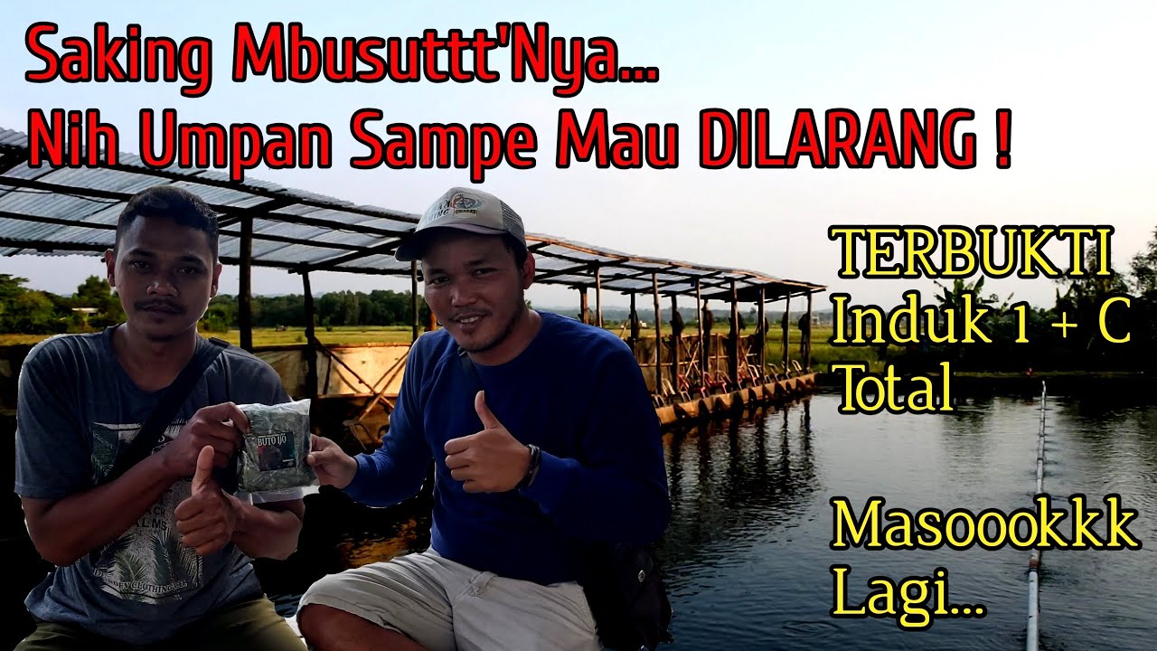 Produk GENTAK PANCING | Shopee Indonesia