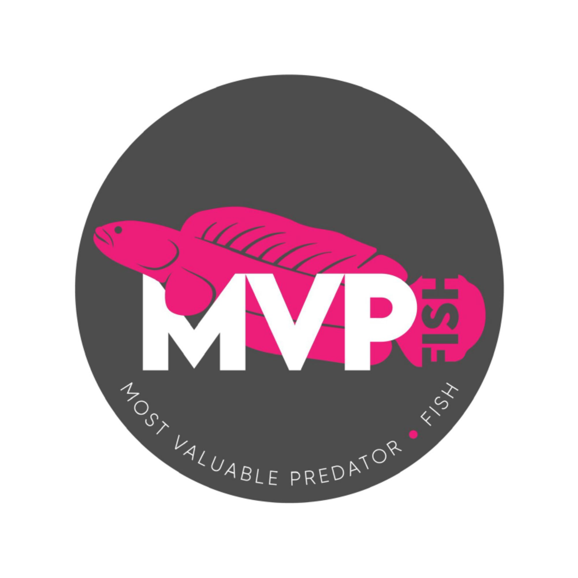 Produk MVP Fish Store | Shopee Indonesia