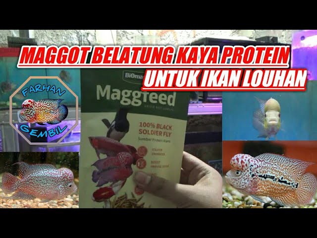 Produk Biomagg | Shopee Indonesia