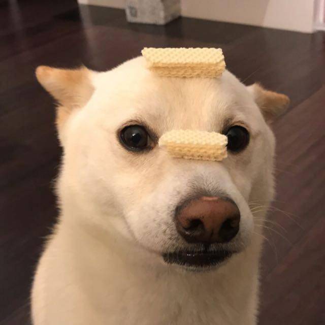 Produk jagungturbo | Shopee Indonesia