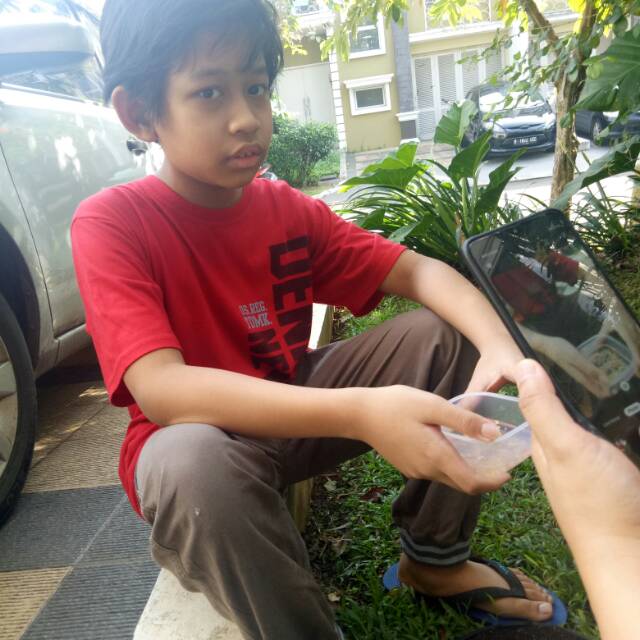Produk Cipta Sarana Solusi | Shopee Indonesia
