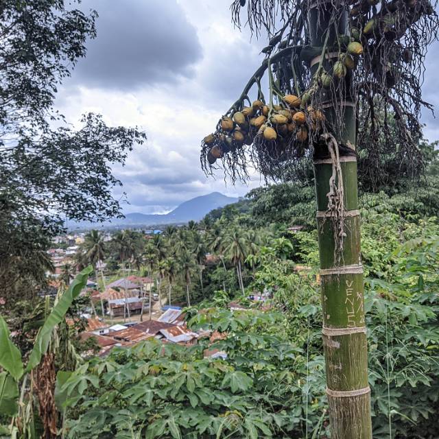 Produk Yunus32store | Shopee Indonesia