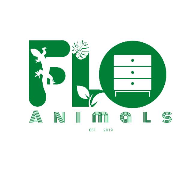 Produk FLO_Animals | Shopee Indonesia