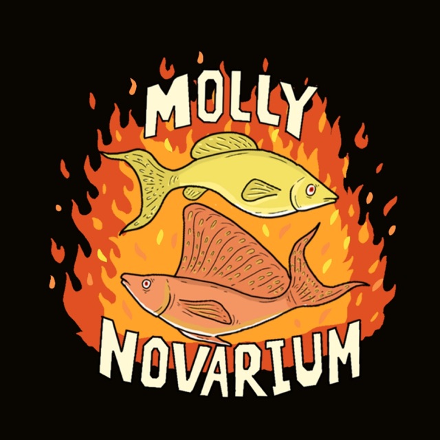 Produk Novarium | Shopee Indonesia