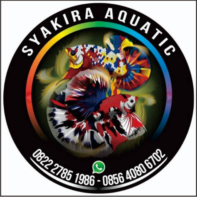 Produk SYAKIRA AQUATIC | Shopee Indonesia