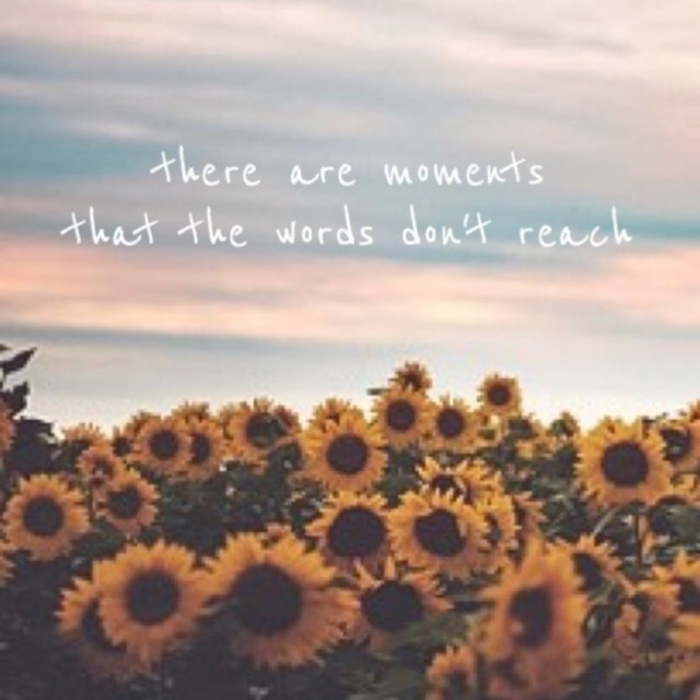 Produk rawadas | Shopee Indonesia