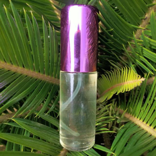 Produk Dunia Parfum K3 | Shopee Indonesia