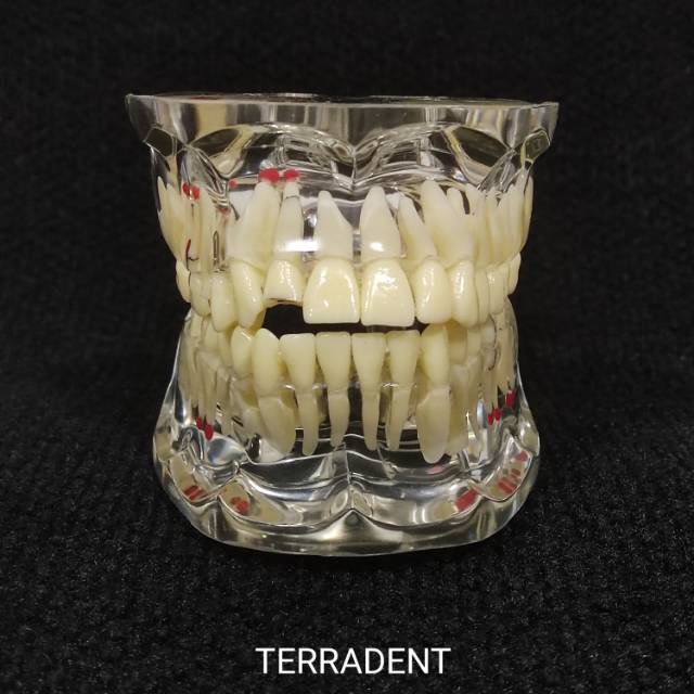 Produk TERRADENT | Shopee Indonesia