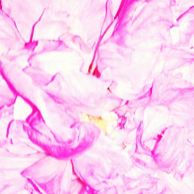 Produk dua N | Shopee Indonesia