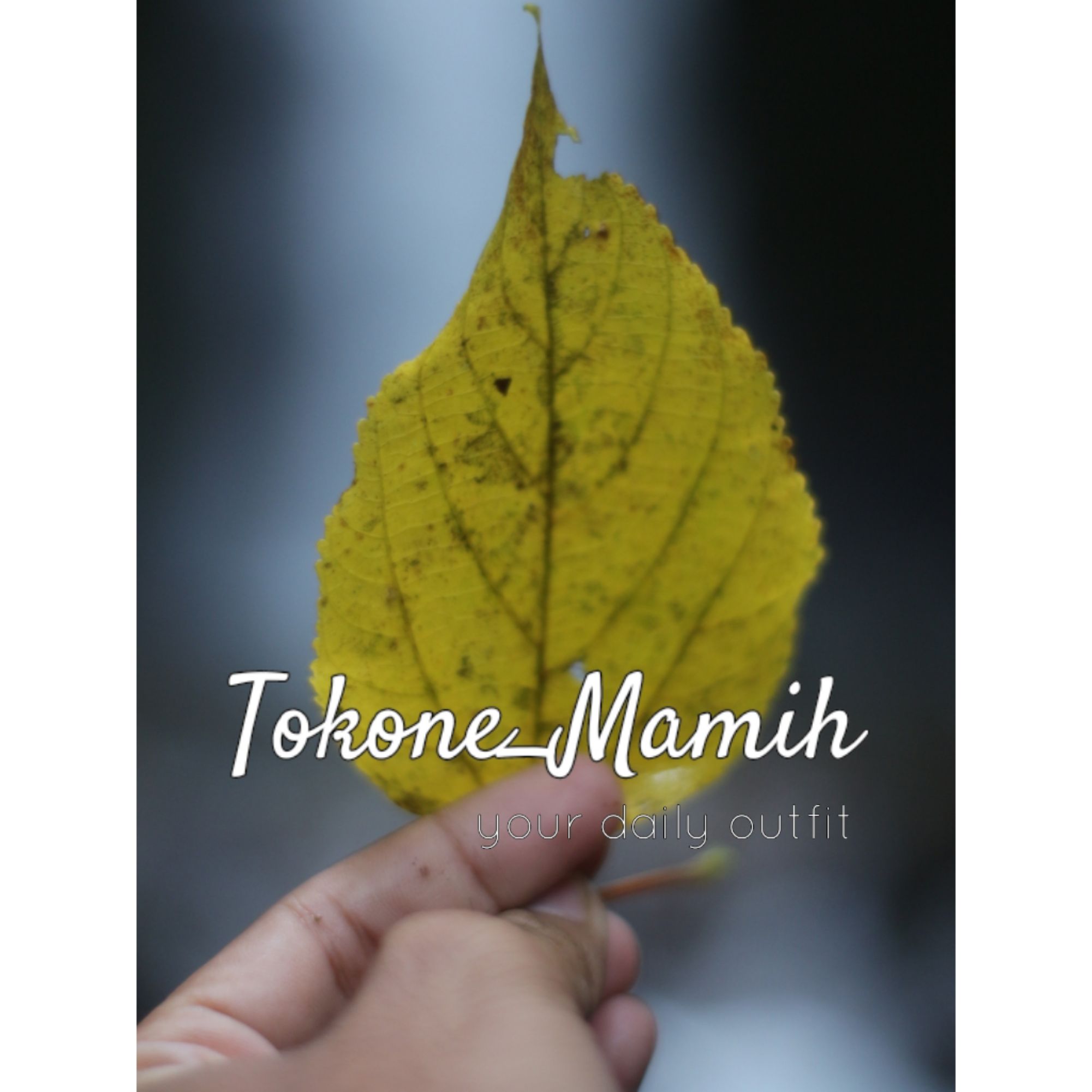 Produk Tokone_mamih | Shopee Indonesia