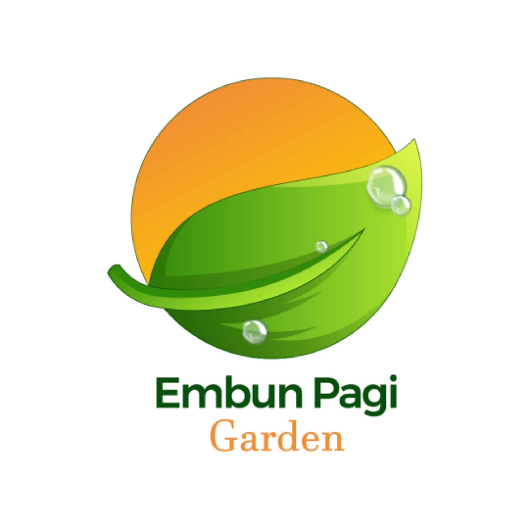 Produk Embun Pagi Garden | Shopee Indonesia