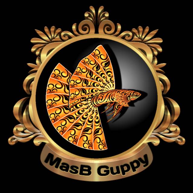 Produk MasB Guppy | Shopee Indonesia