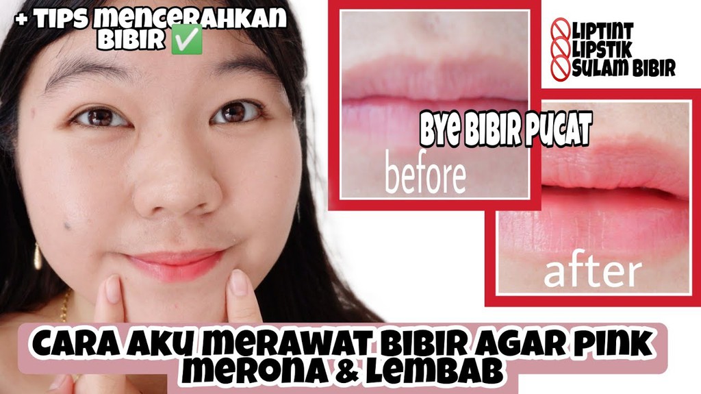 Toko Online Brianca Official Shop | Shopee Indonesia