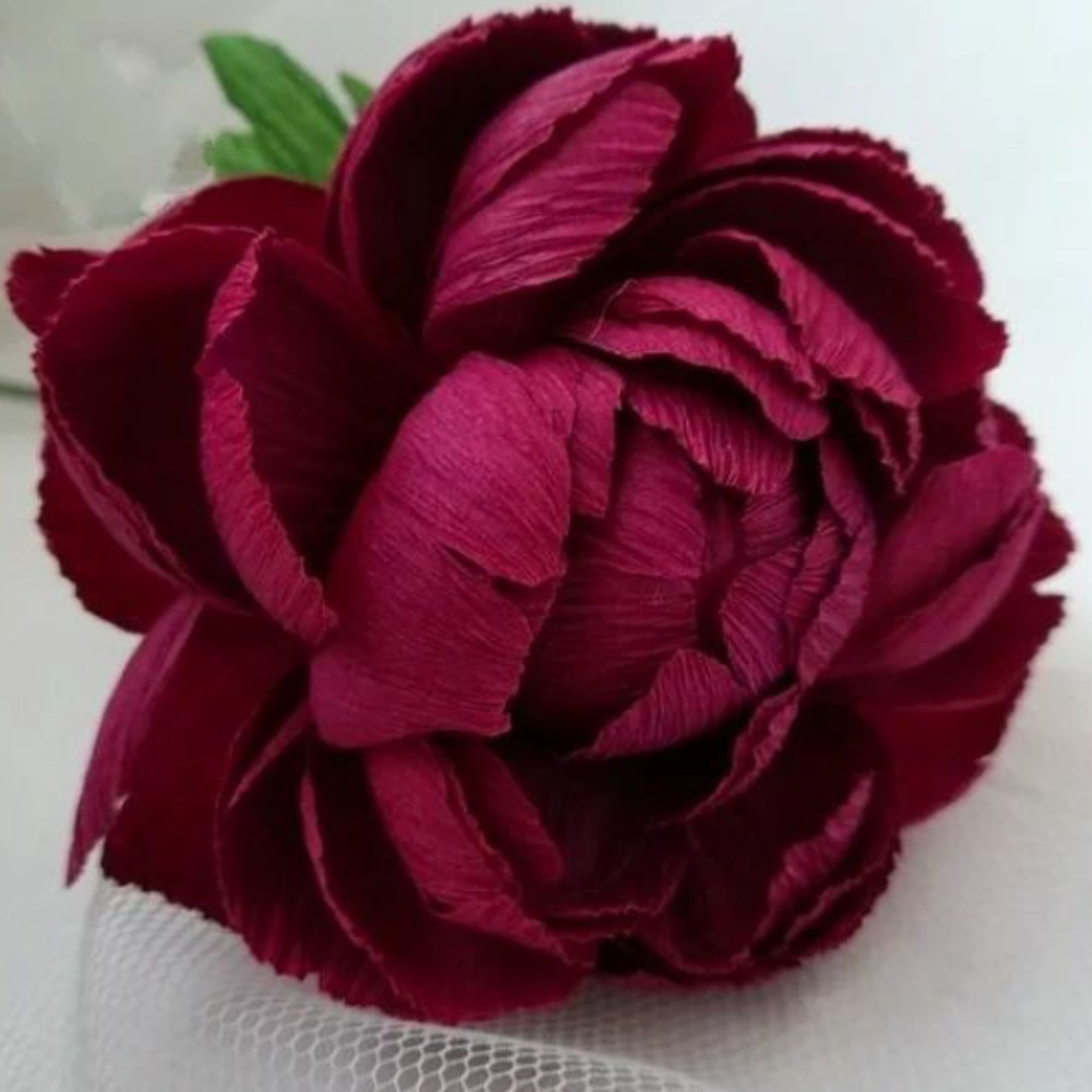 Produk La_Magenta | Shopee Indonesia