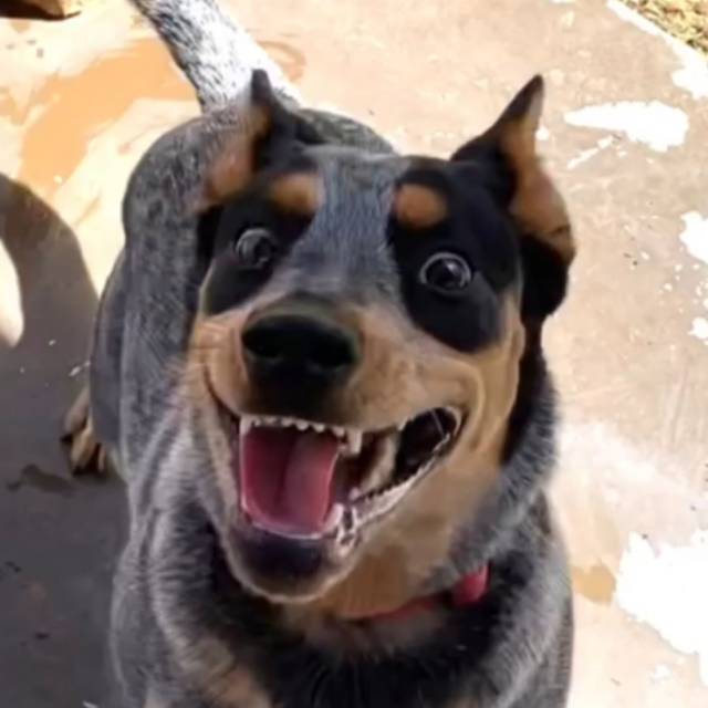 Produk Epic Games | Shopee Indonesia