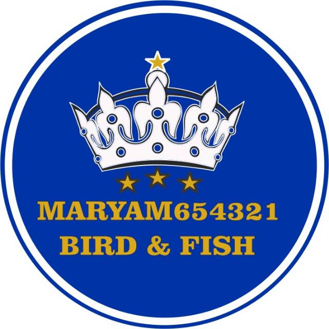 Produk AMA BIRD FISH | Shopee Indonesia