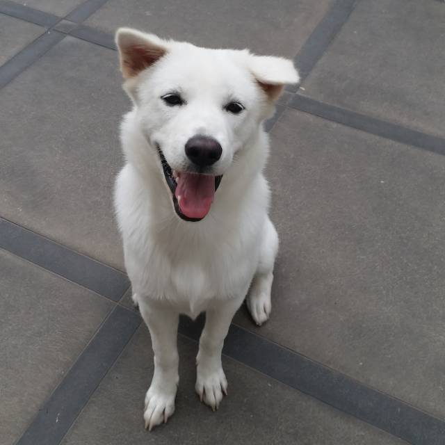 Produk sarilaya1412 | Shopee Indonesia