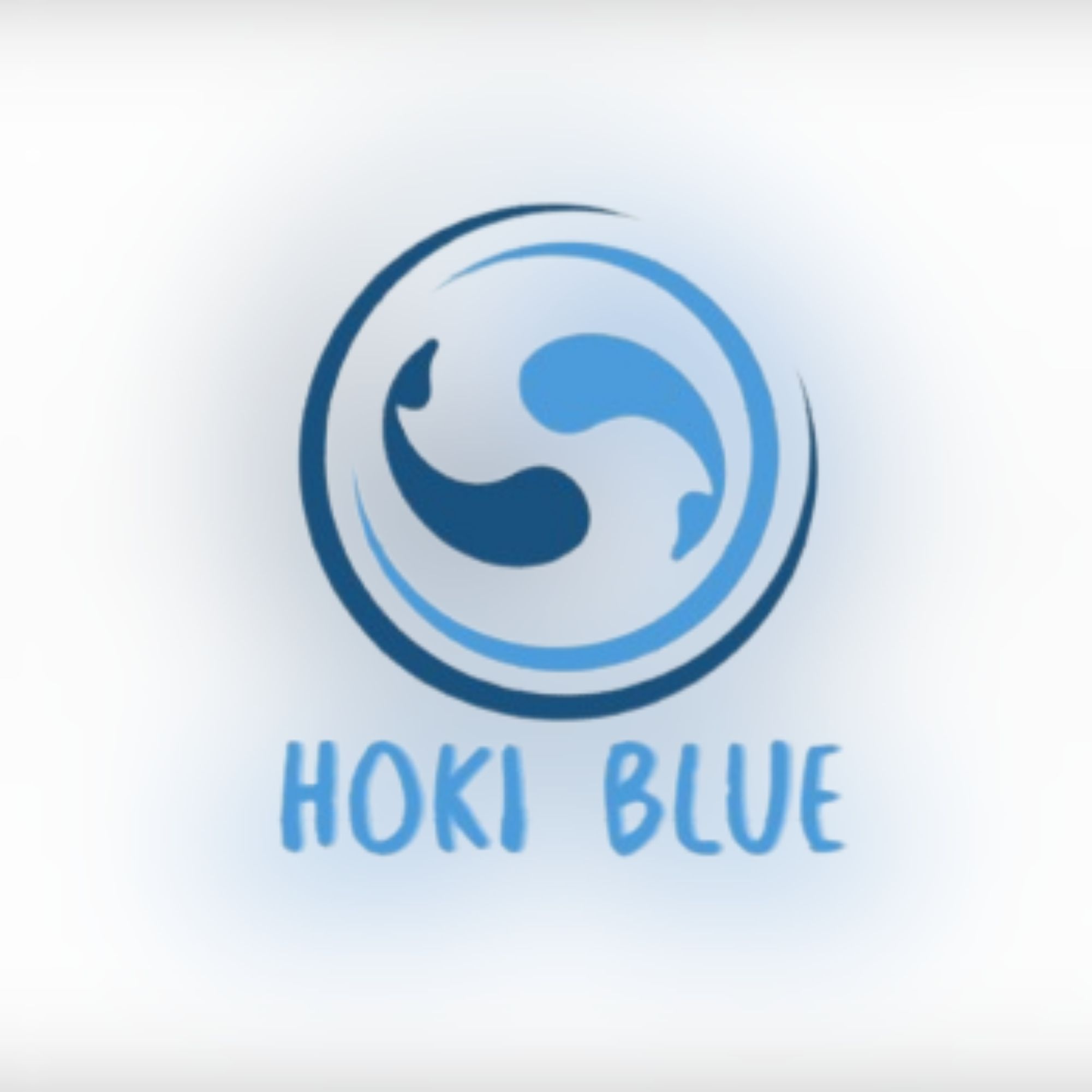 Produk Hoki Blue | Shopee Indonesia