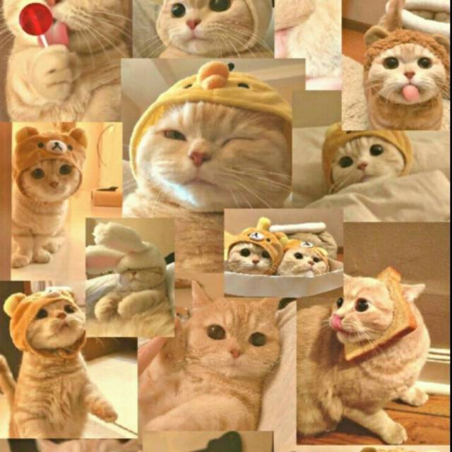 Produk Catherine_Collection | Shopee Indonesia