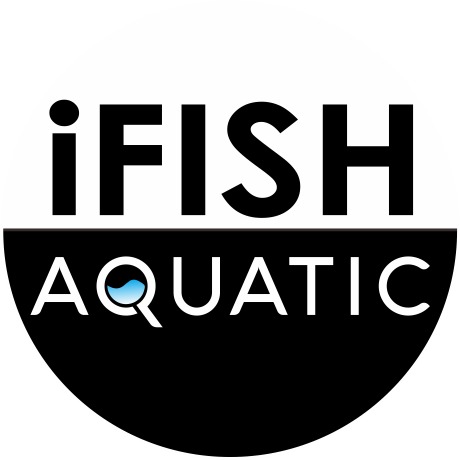 Produk iFish Aquatic | Shopee Indonesia
