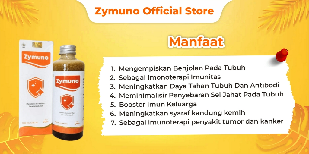 Produk Zymuno | Shopee Indonesia