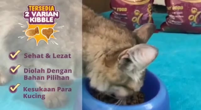 Produk Winky Pet Mart | Shopee Indonesia