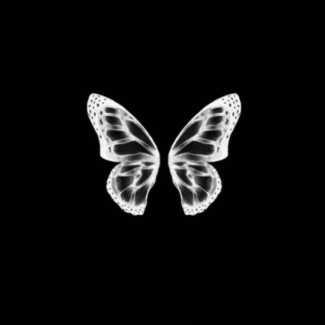 Produk Mira cell | Shopee Indonesia