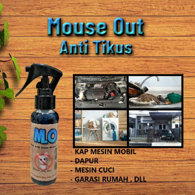 Produk Mouseout Official | Shopee Indonesia