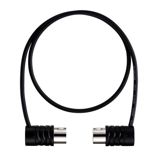Produk Daily Music Store | Shopee Indonesia