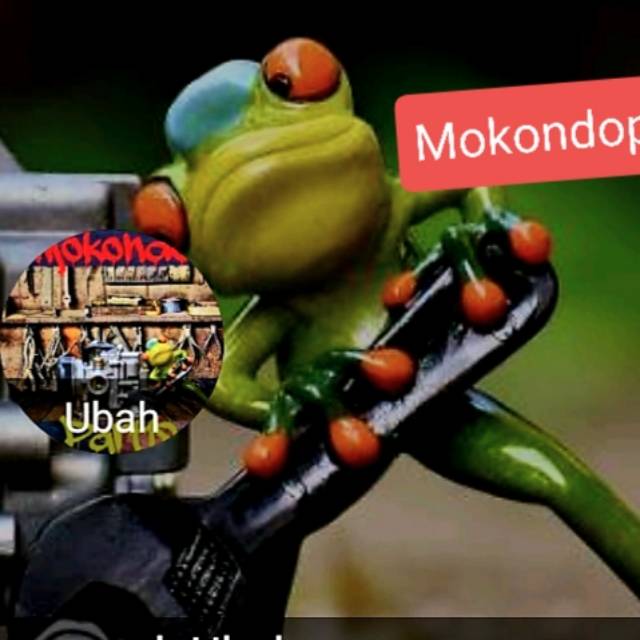 Produk Mokondo_18 | Shopee Indonesia