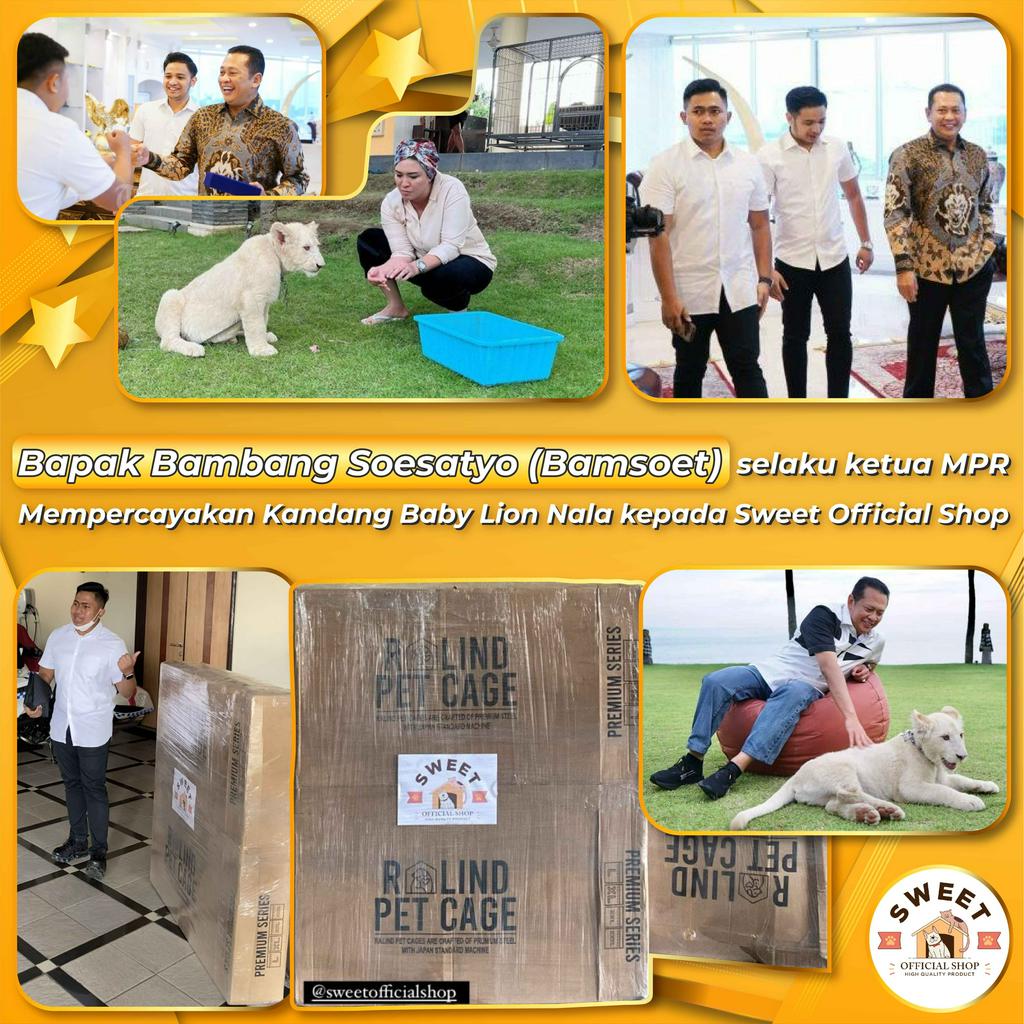 Produk Sweet Official Shop | Shopee Indonesia