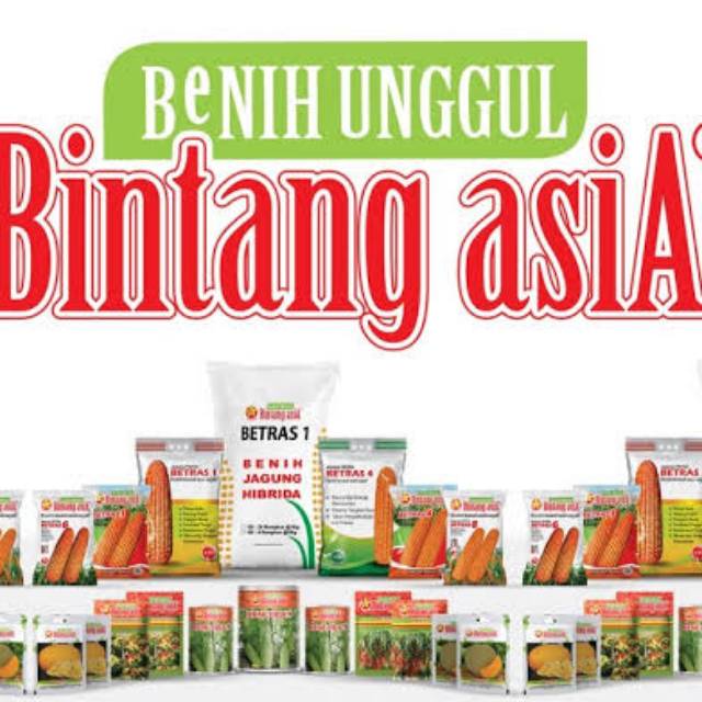Produk Benih Bintang asia Official | Shopee Indonesia