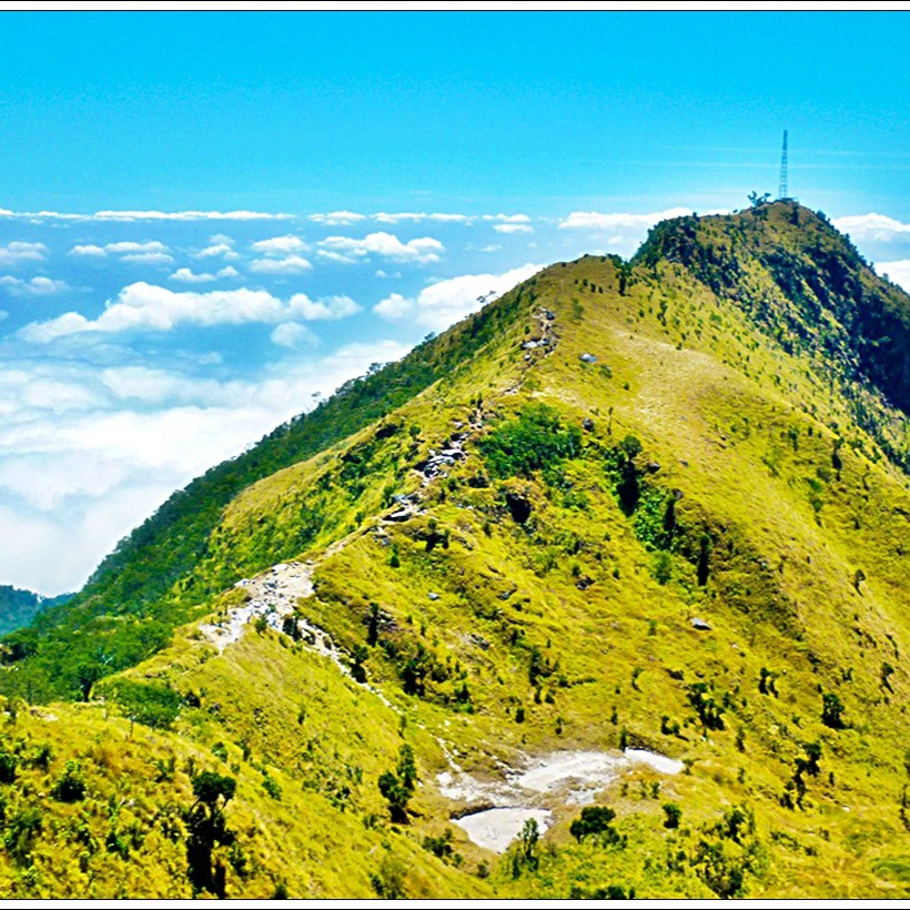 Produk Haizz | Shopee Indonesia