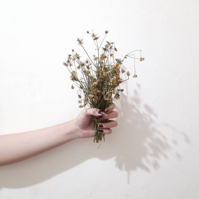 Produk Bunga Kering Official | Shopee Indonesia