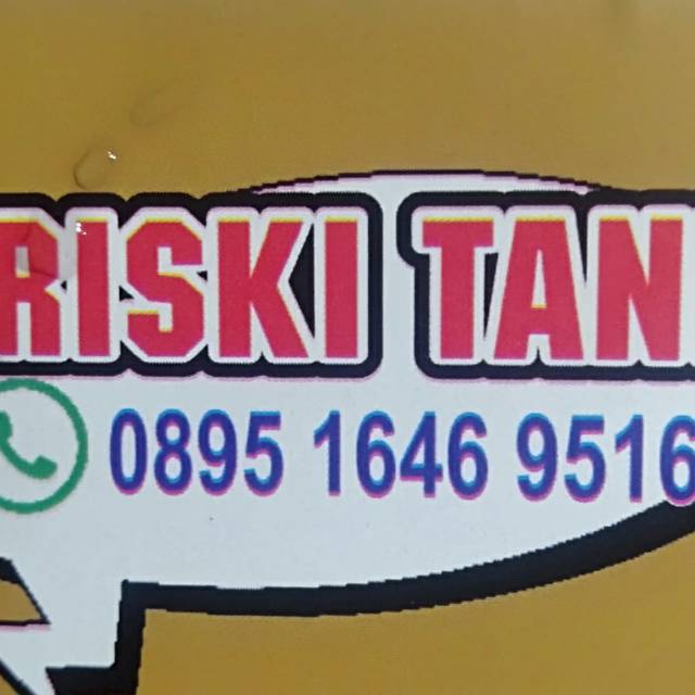 Produk Riski nati | Shopee Indonesia