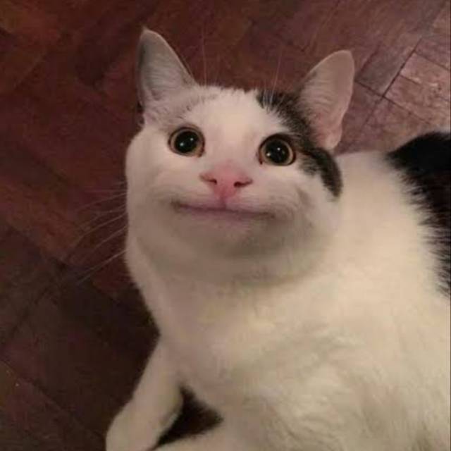 Produk Lilyca | Shopee Indonesia