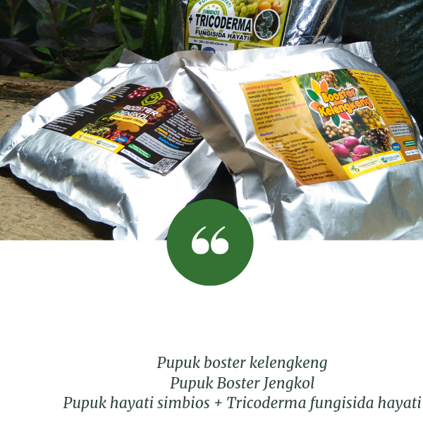 Produk Prima Indonesia Organik | Shopee Indonesia