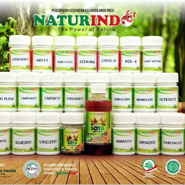Produk Shodiqin || Naturindo fresh | Shopee Indonesia